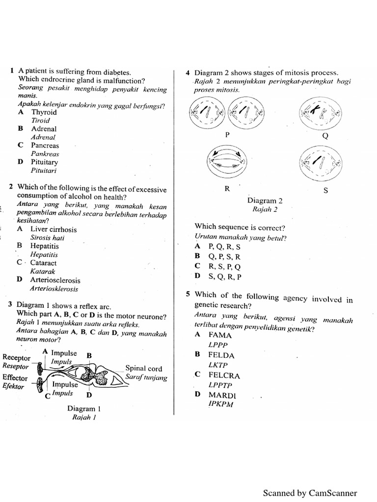 SPM Science | PDF