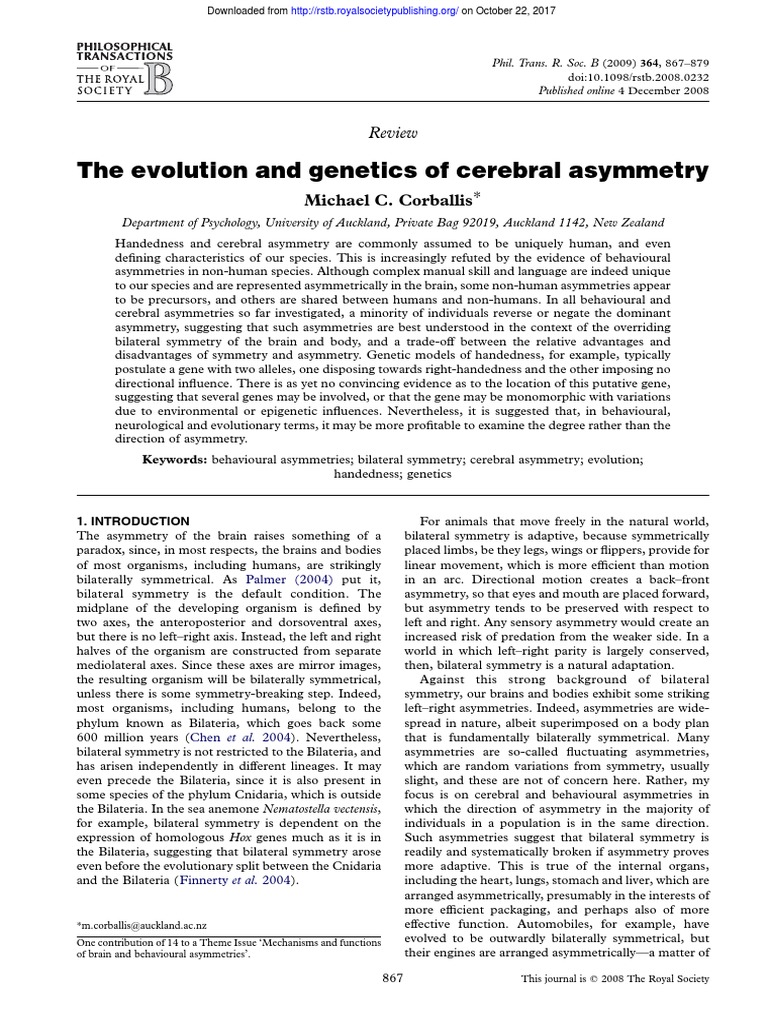 The Evolution and Genetics of Cerebral Asymmetry: Review | PDF ...