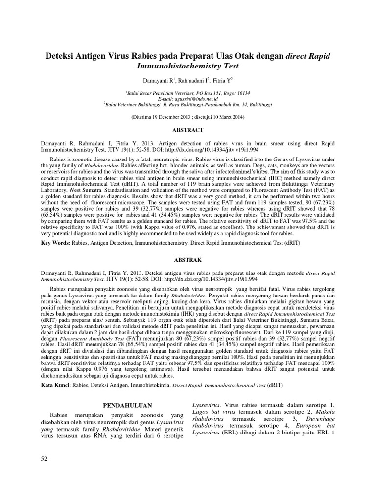 Deteksi Antigen Virus Rabies Pada Preparat Ulas Otak Dengan Direct Rapid | PDF