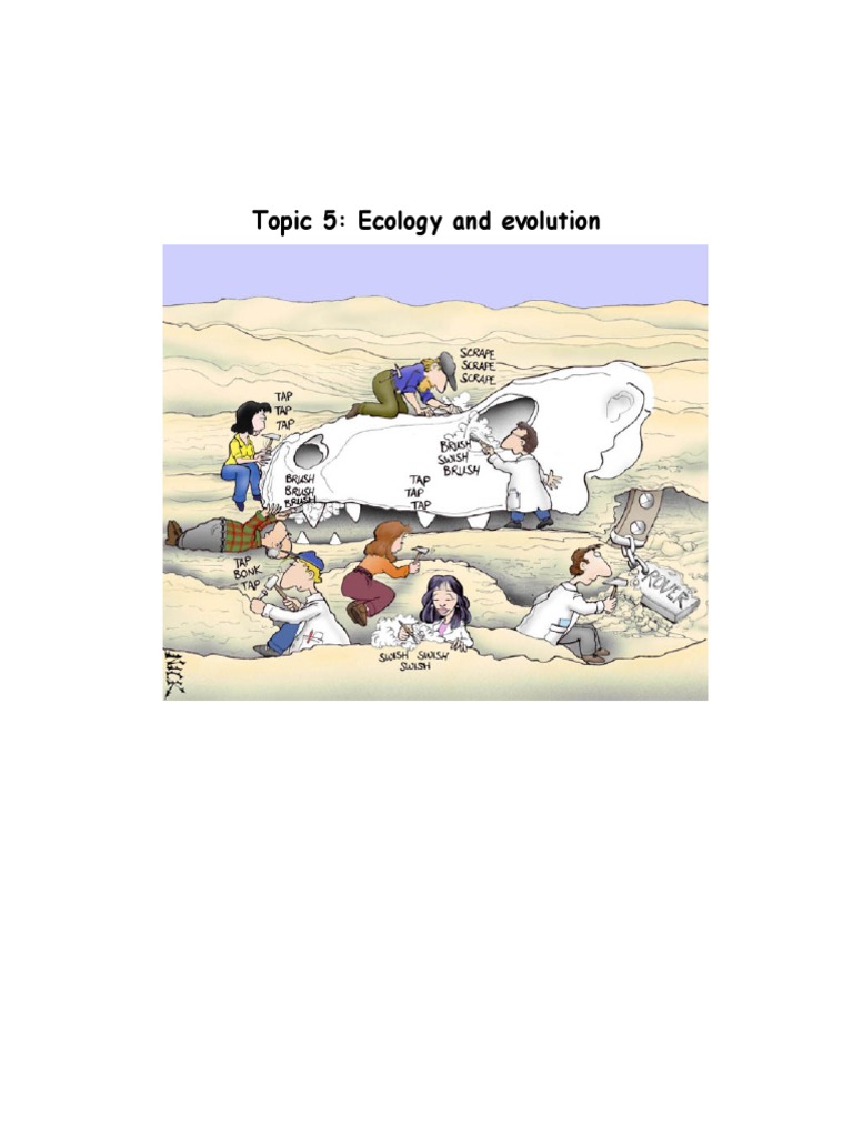 Topic 5 Ecology and Evolution | PDF | Food Web | Ecology