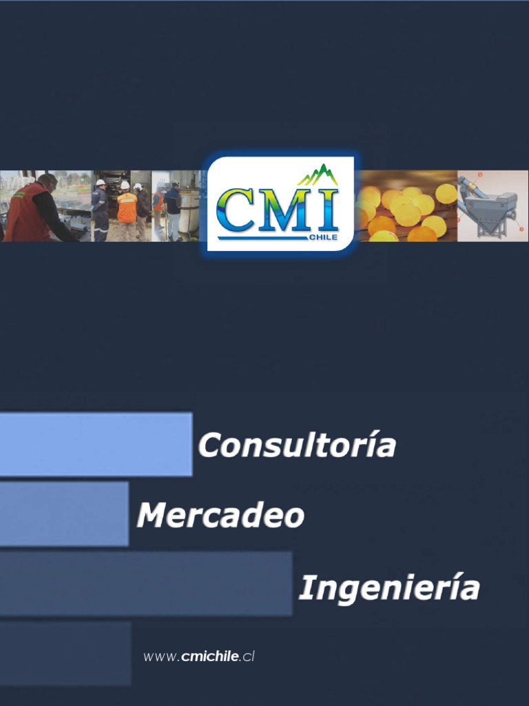 CMI Chile S.A. - 2017 | PDF | Calidad (comercial) | Minería