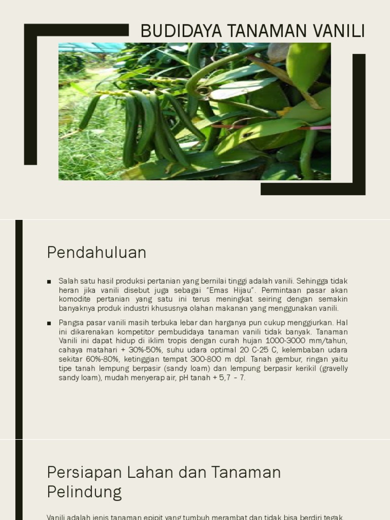 Budidaya Tanaman Vanili | PDF
