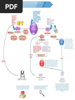 Mapa Conceptual Gasto Publico Hernan Colmenarez | PDF | Presupuesto | Economias