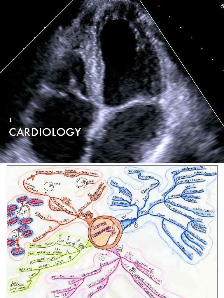 Cardiology PDF | PDF | Science & Mathematics