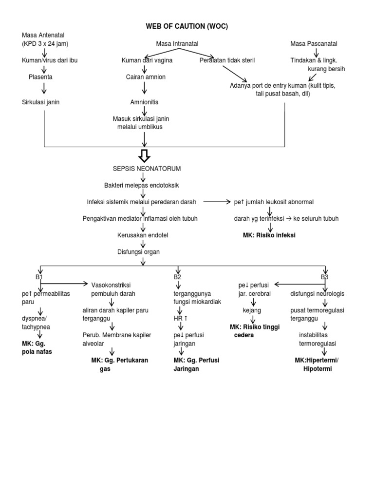 WEB OF CAUTION Sepsis | PDF