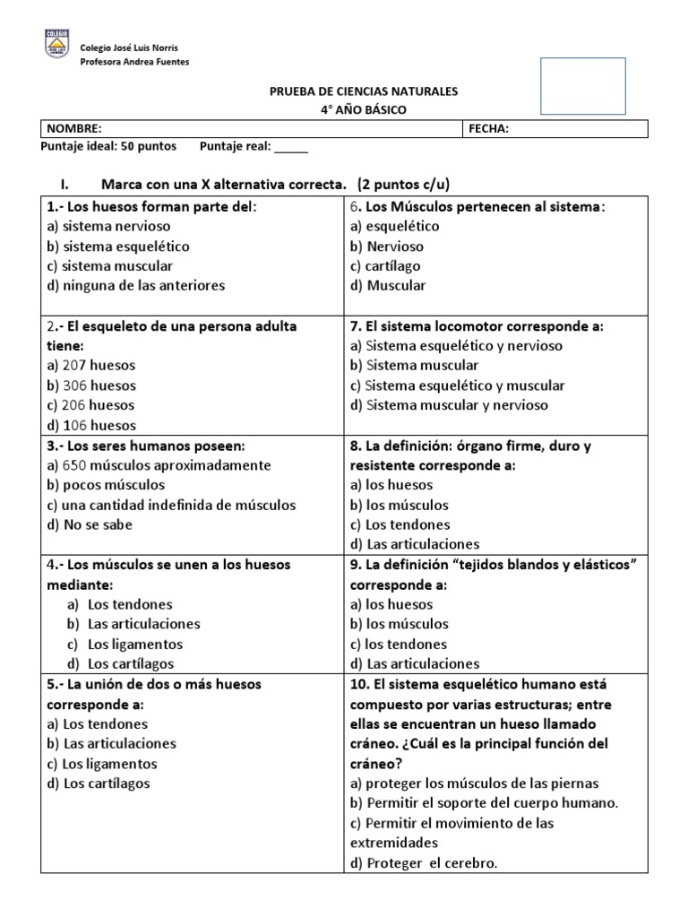 Prueba de Ciencias Sistema Esqueletico y Muscular | PDF | Articulación ...