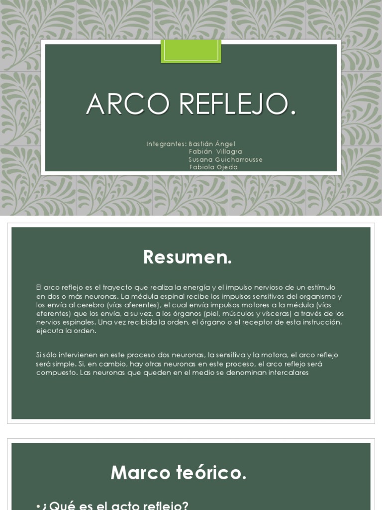 Tipos y componentes del arco reflejo | PDF | Neurofisiología | Neurona
