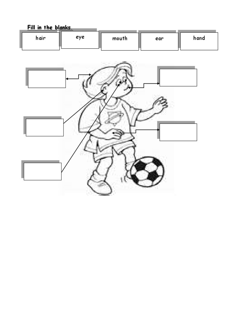 Bi Year 1 PAPER 1 | PDF