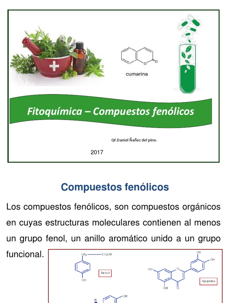 Clase - 11 | PDF | Fenoles | Flavonoide