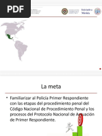 Técnicas de Cacheo Policial en Buenos Aires | PDF