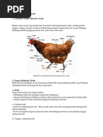 Anatomi Dan Fisiologi Ternak Unggas | PDF