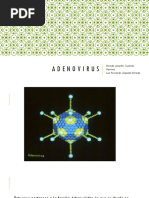 Fisiopatología de Las Infecciones Por Adenovirus | PDF | Adenoviridae | Nucleo celular