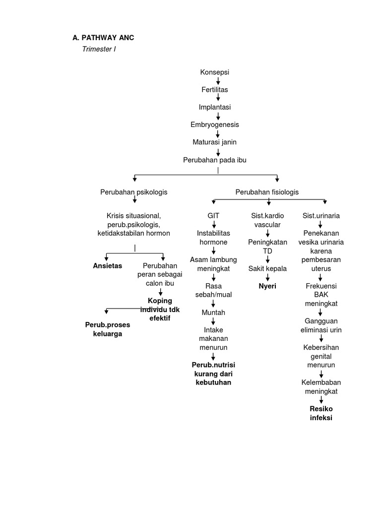 Pathway Anc Fix | PDF