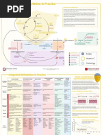 Cusack Protocol .. Supplement Dosages Information Chart. Word PDF | PDF ...