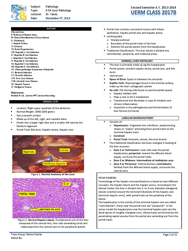 Pathology 4.05 Liver Pathology - Dr. Yanez | PDF | Liver | Cirrhosis