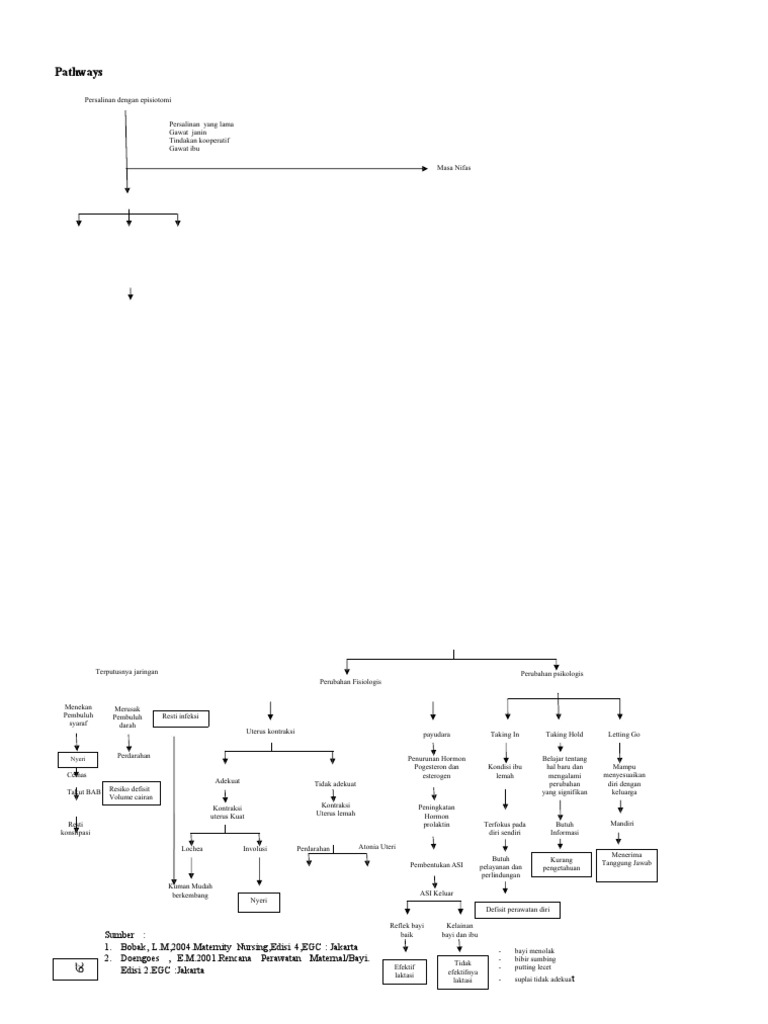 Pathway Post Partum Episiotomi | PDF
