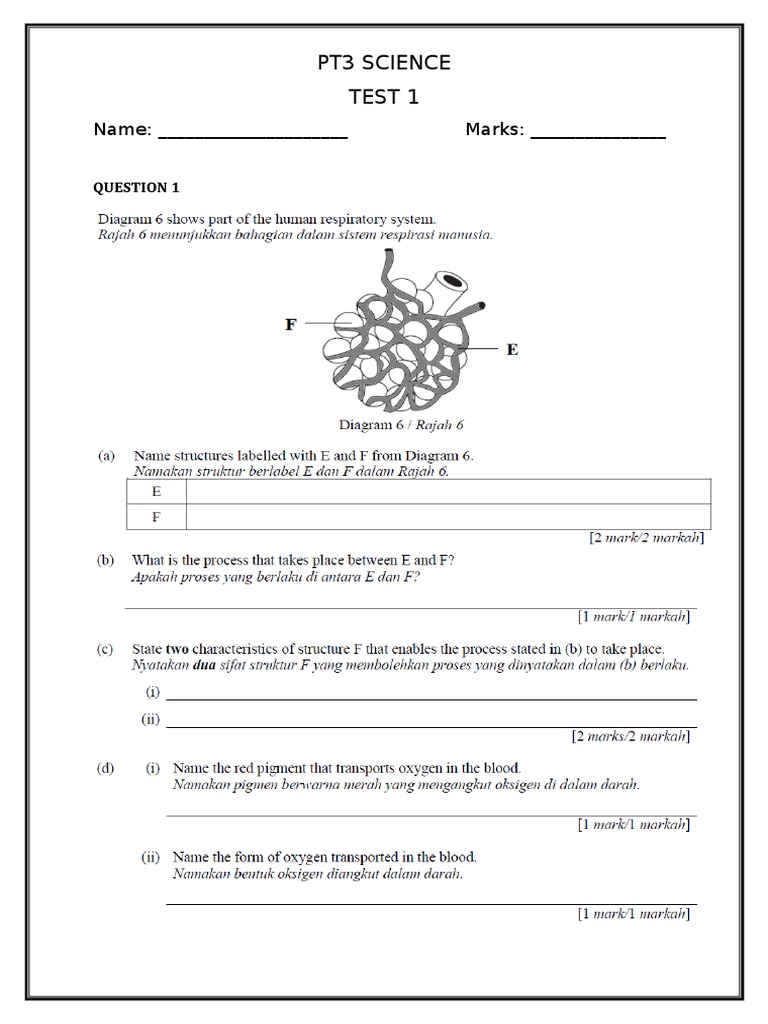 Pt3 Science Test 1: Name: - Marks | PDF