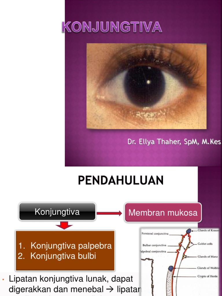 KONJUNGTIVA DAN PENYAKITNYA | PDF