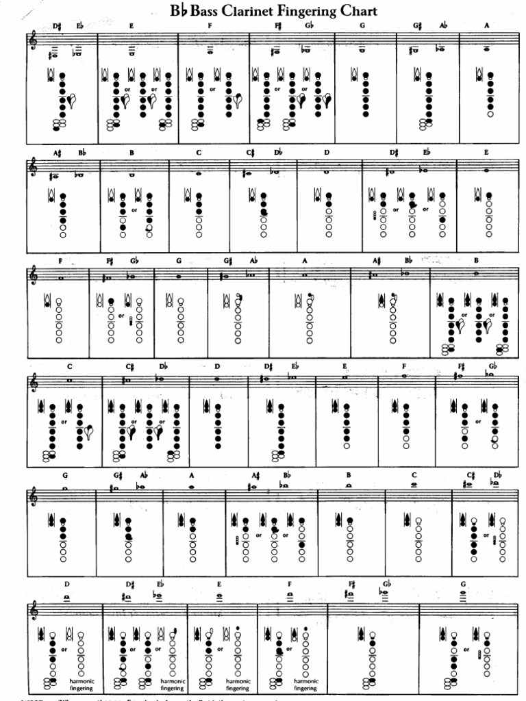 Bass Clarinet Chart | PDF | Woodwind Instruments | Musical Instruments