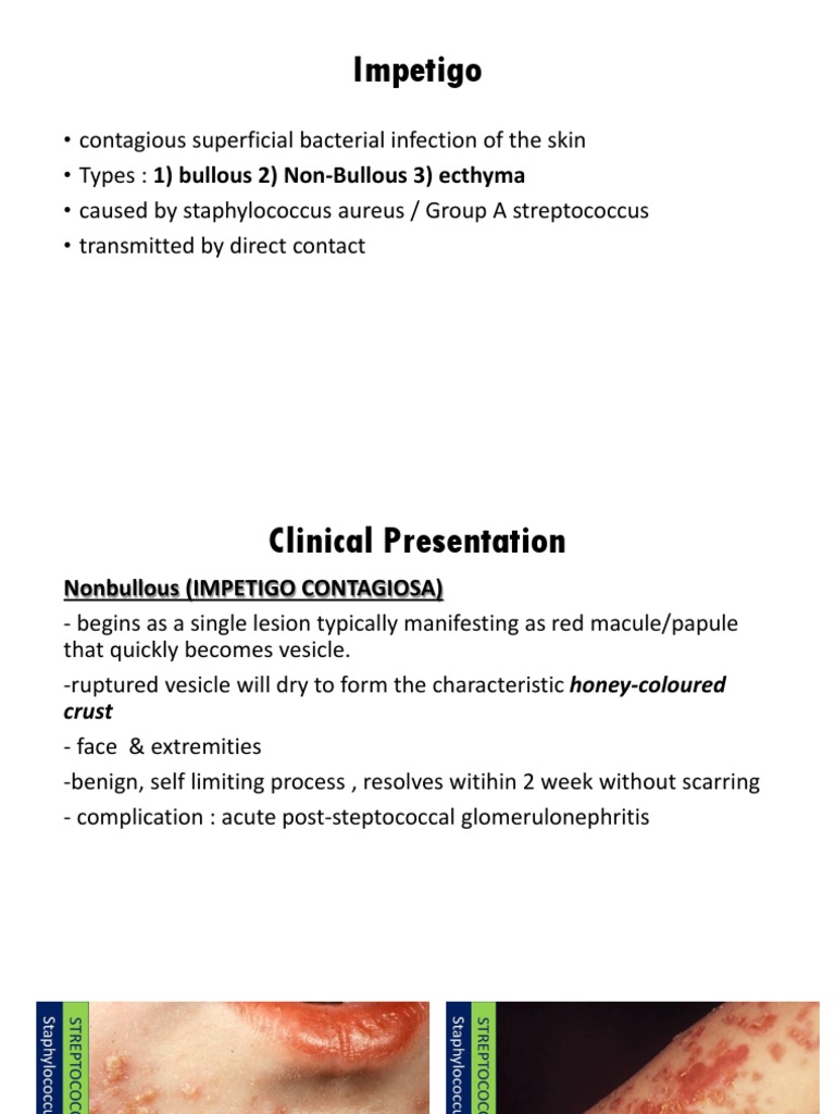 Impetigo | PDF | Veterinary Medicine | Dermatology