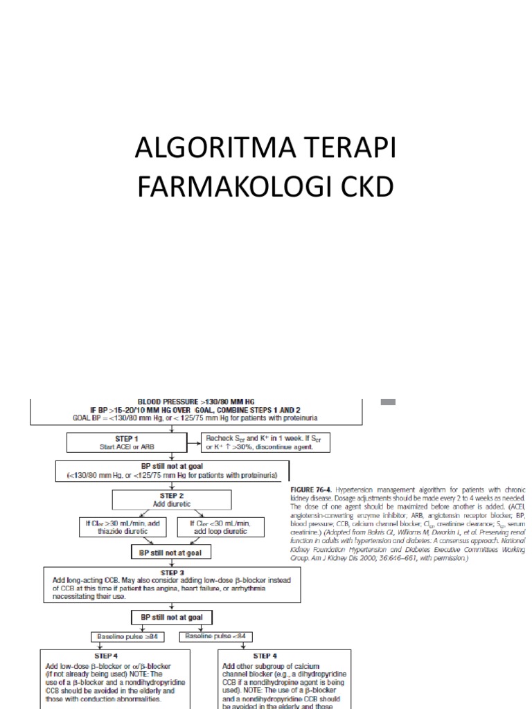 Algoritma Terapi Farmakologi CKD | PDF
