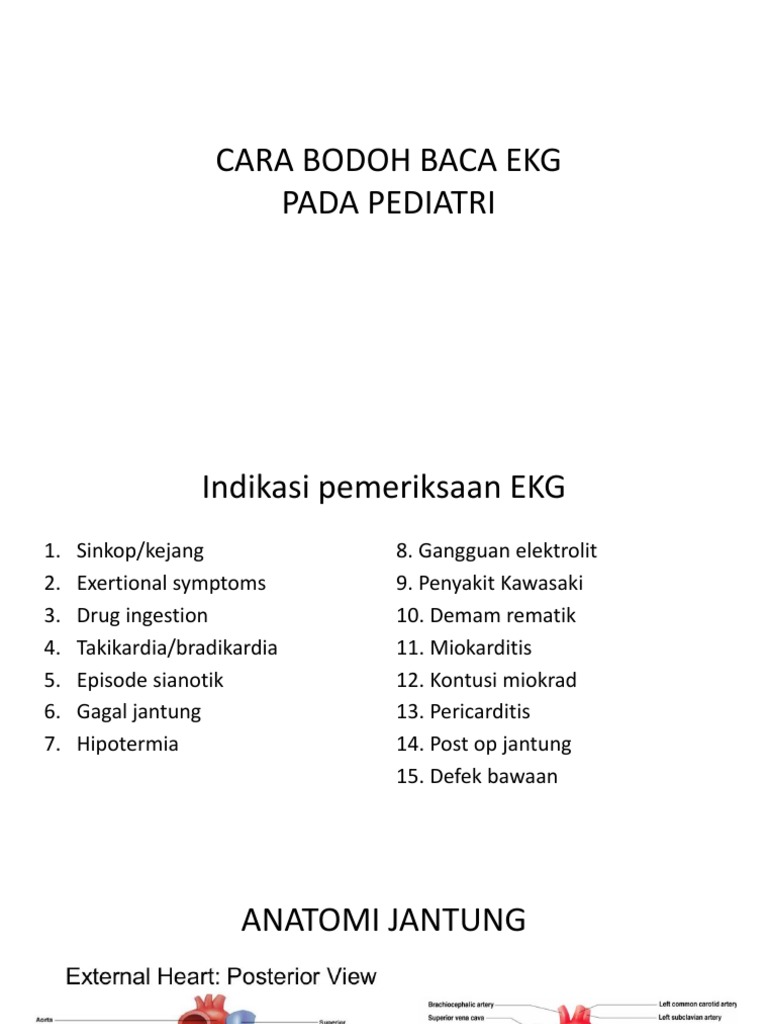 Cara Bodoh Baca Ekg Pada Pediatri | PDF