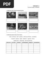 Diary of a Wimpy Kid Quiz Answers | PDF