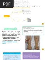 Signo de Fóvea en Edema: Diagnóstico | PDF | Edema | Especialidades Medicas
