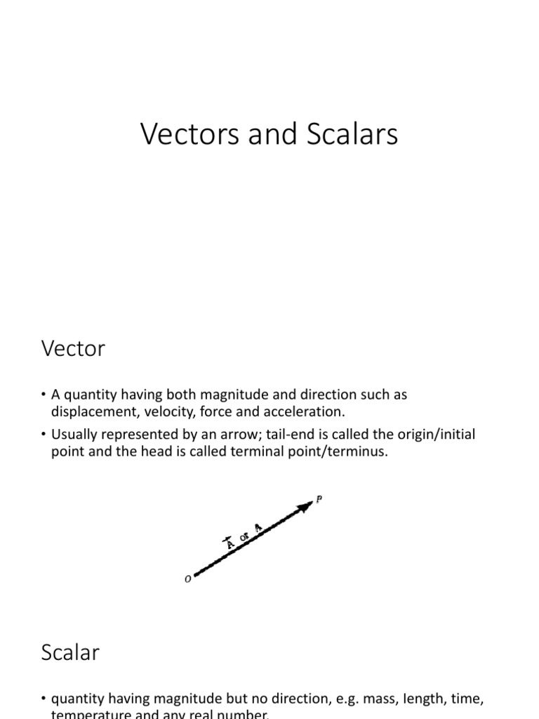 Vectors and Scalars | PDF | Euclidean Vector | Norm (Mathematics)