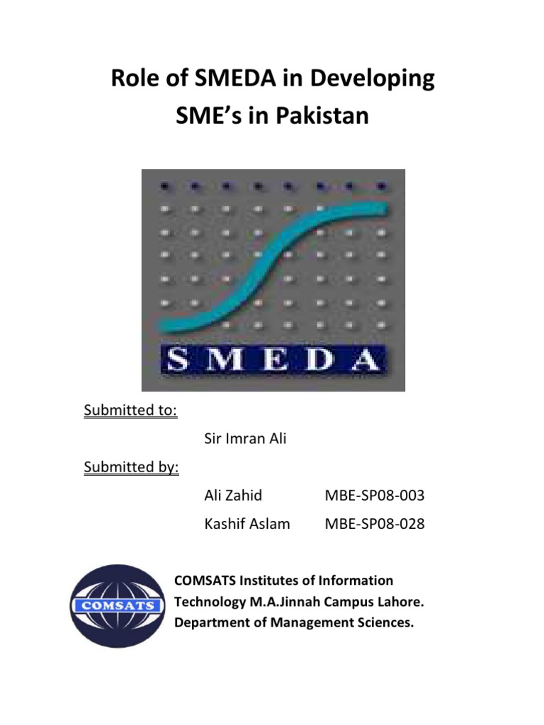 SME Development in Pakistan | PDF | Small And Medium Sized Enterprises ...