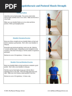 Upper Body Thera Band Exercise Program - Basic | PDF | Elbow | Arm