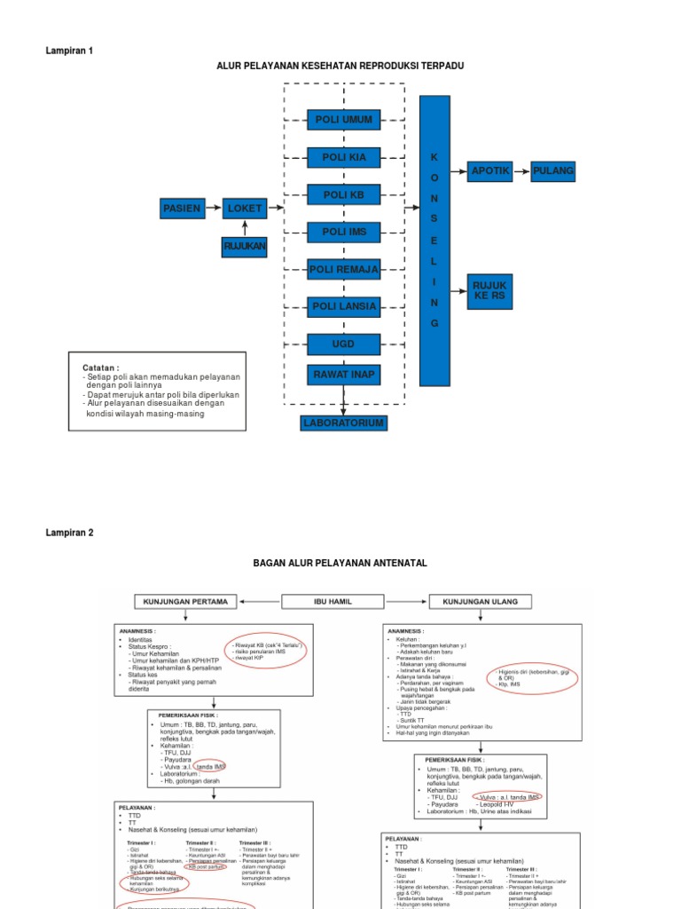 Bagan Alur Pelayanan Antenatal | PDF