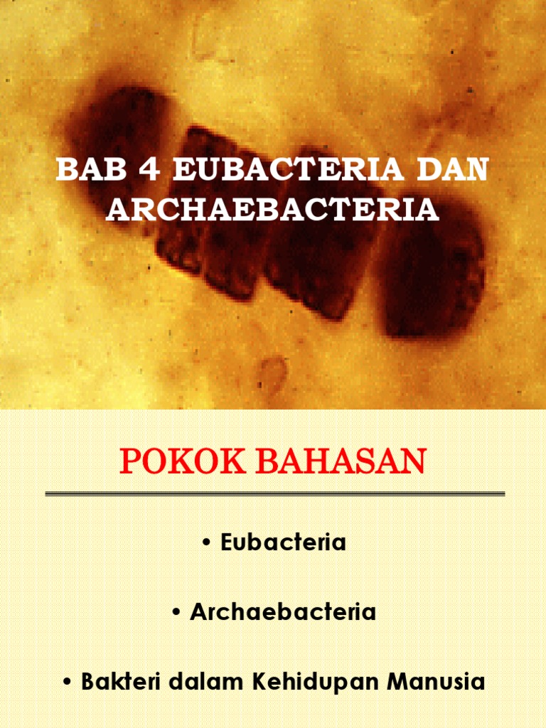 Bab 4. Archaebacteria Dan Eubacteria (Kiki) | PDF