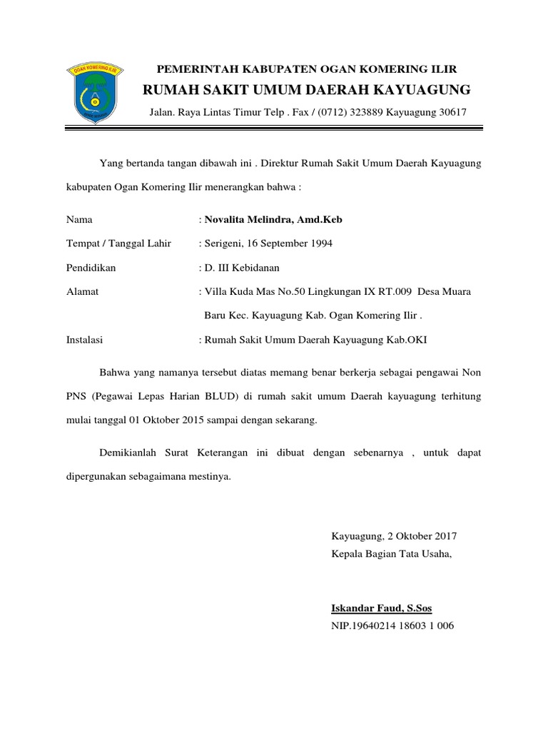 Pengalam Kerja | PDF