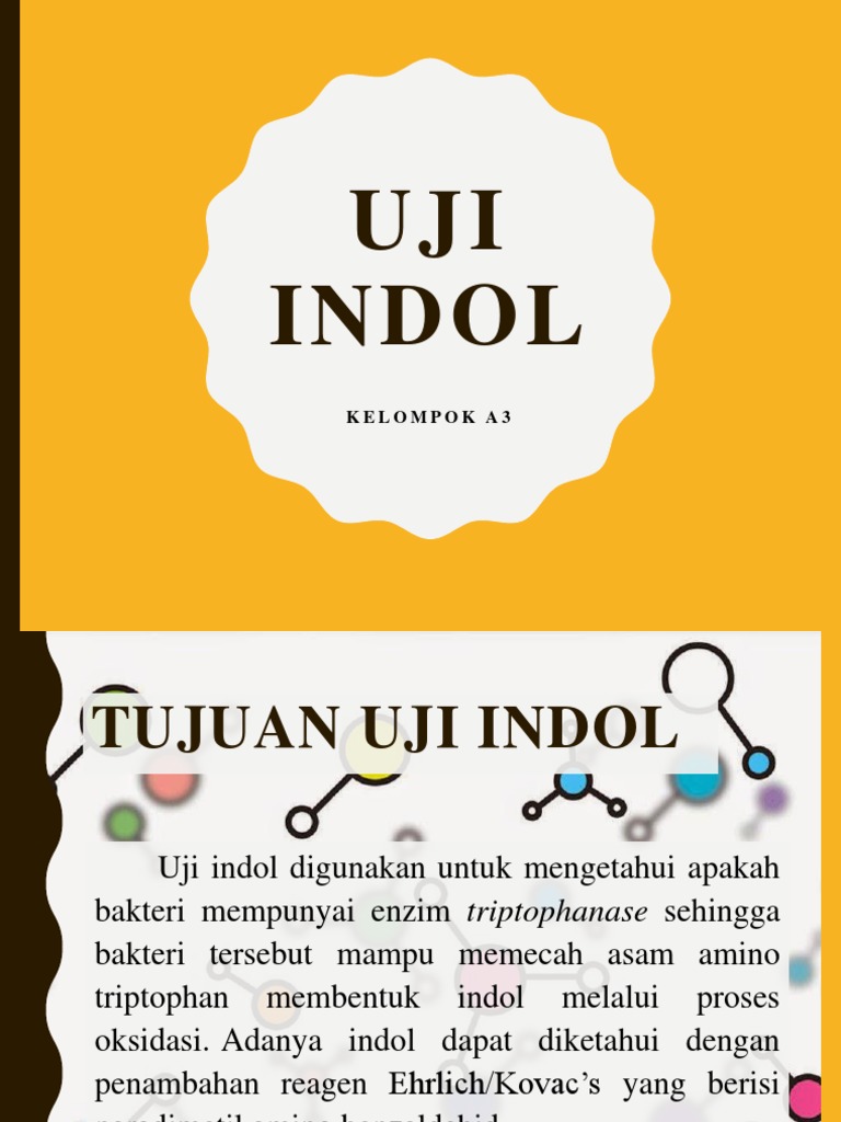 Uji Indol | PDF