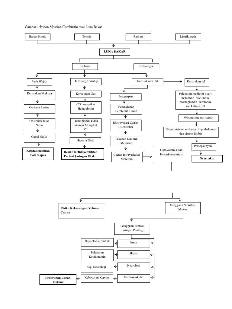 WOC Combustio Gadar | PDF