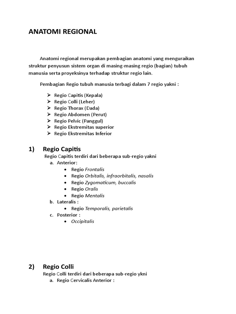 Anatomi Regional Tubuh Manusia | PDF