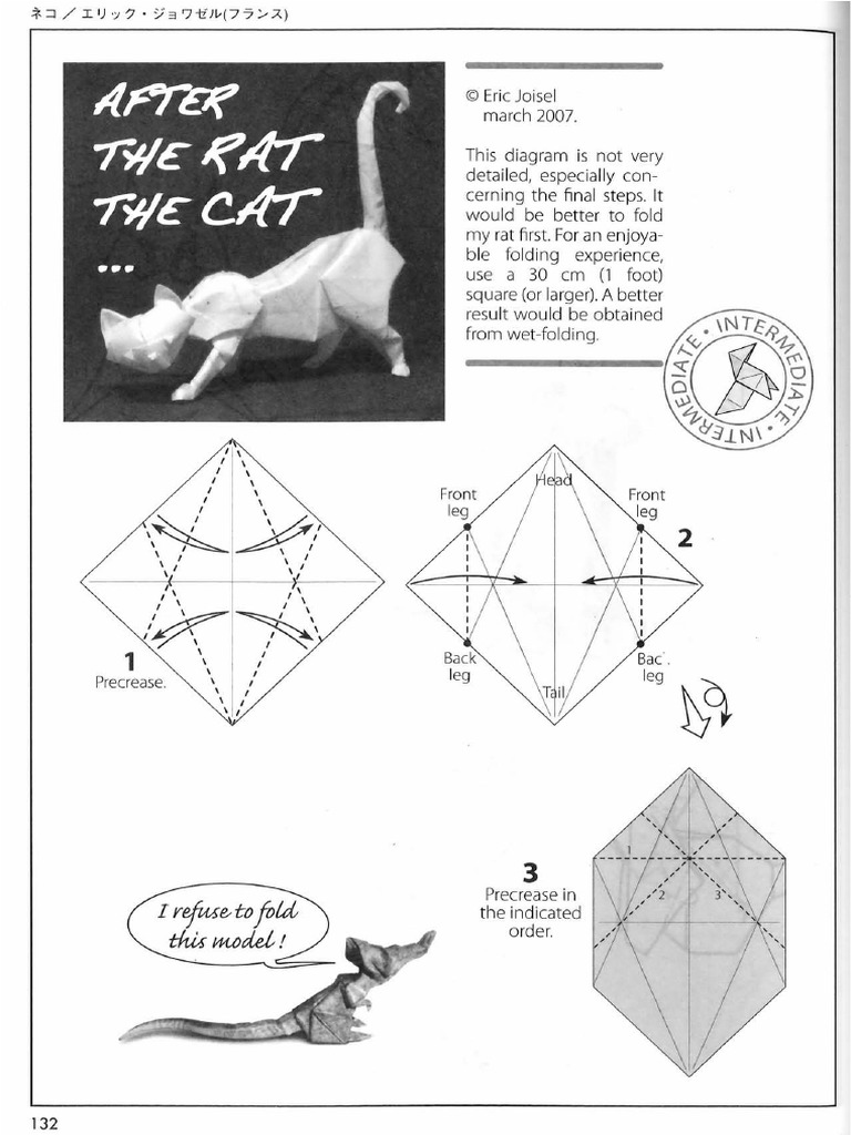 Gato - Eric Joisel | PDF