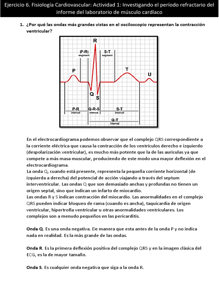 Fisio Ex Cardio | PDF | Electrocardiografia | Fisiología