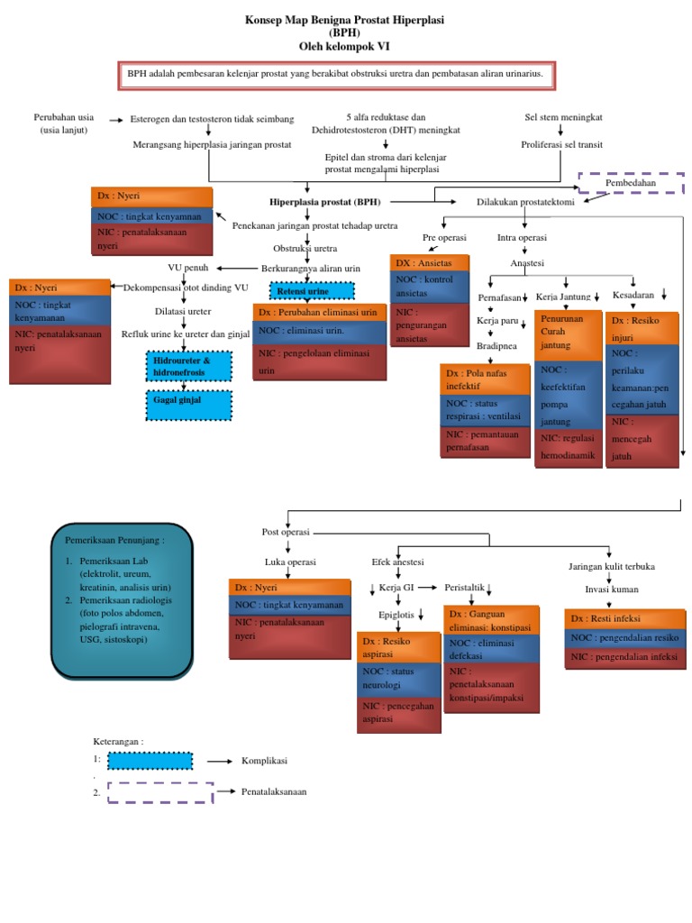 Konsep Map BPH | PDF