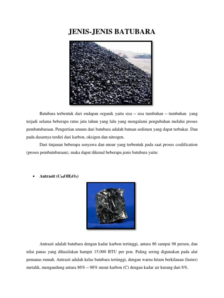 Jenis-Jenis Batubara | PDF