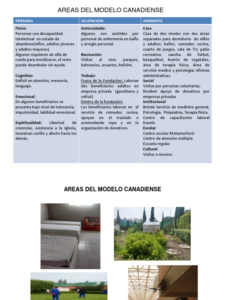 Areas Del Modelo Canadiense | PDF | Adultos | Sicología