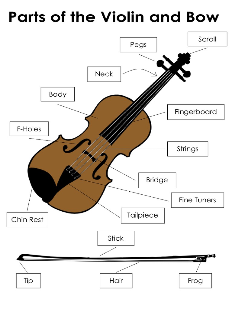 Partes Del Violin | PDF