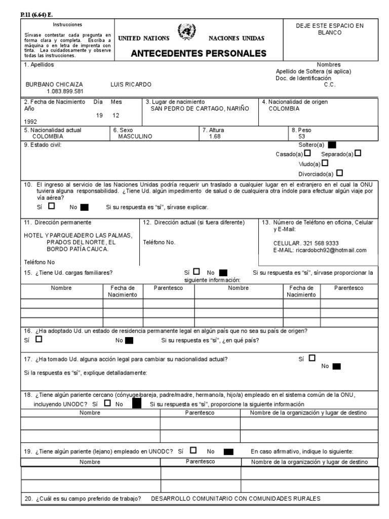 Formato p11 Ricardo Burbano | PDF | Naciones Unidas | Relaciones internacionales