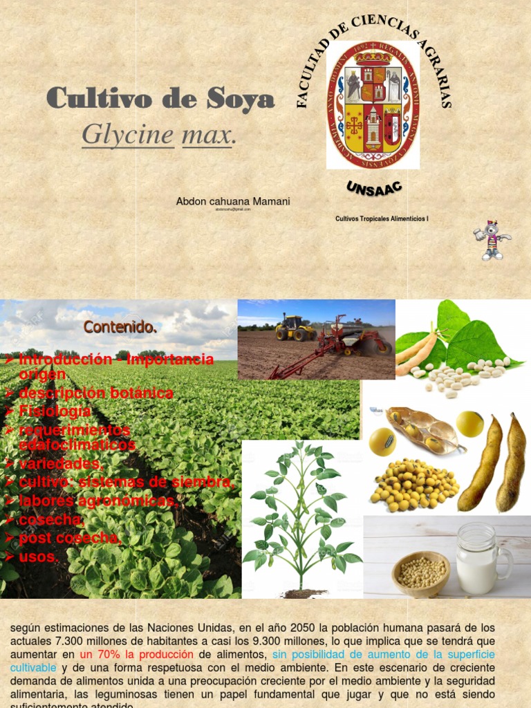 Cultivo de Soya | PDF | Haba de soja | Hoja