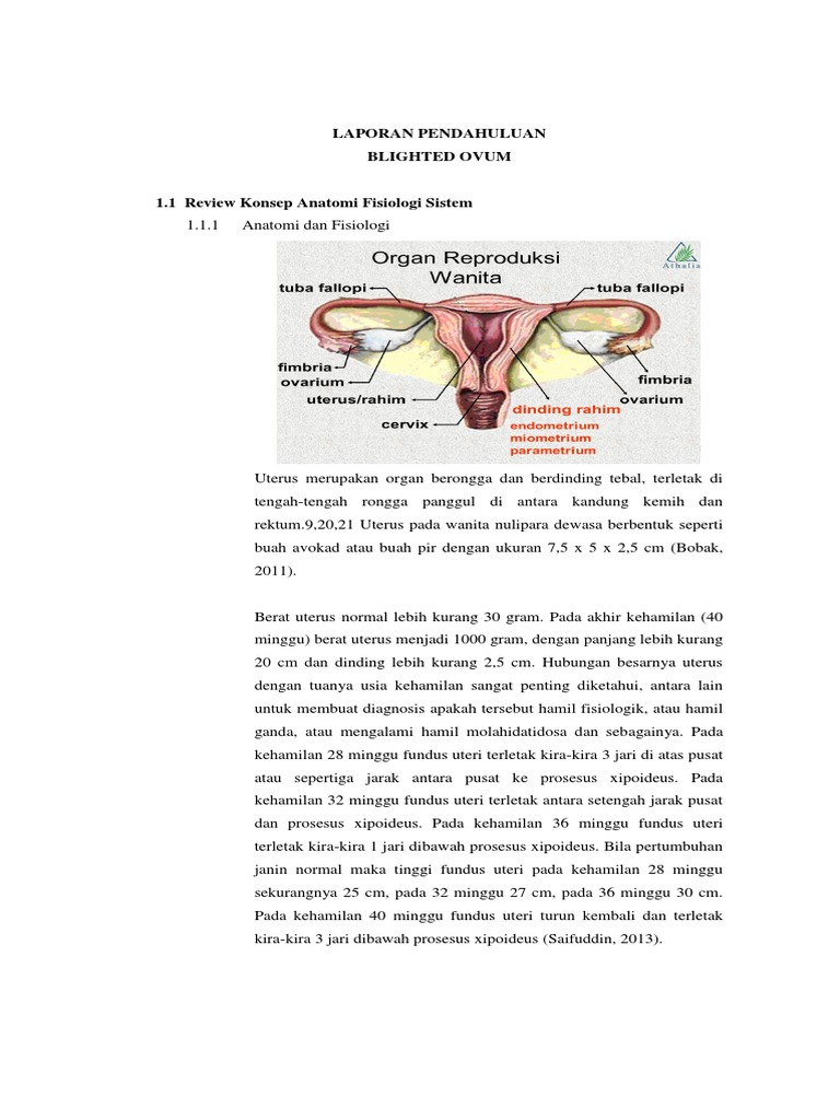 LP Blighted Ovum | PDF