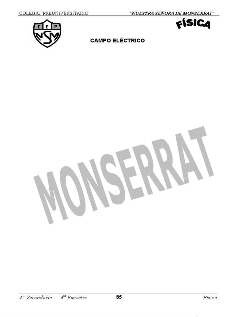 Campo Eléctrico | Descargar gratis PDF | Campo eléctrico | Vector ...