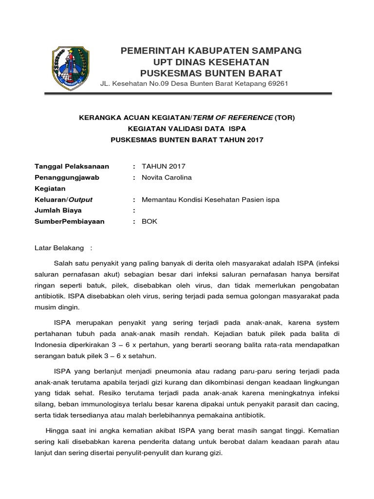 TOR Validasi Data Ispa | PDF