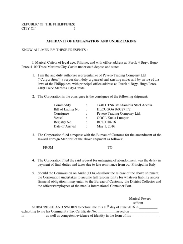 Affidavit of Explanation and Undertaking | PDF | Affidavit | Social ...