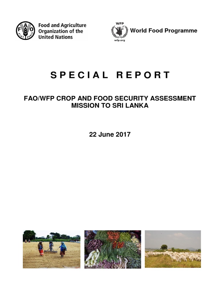 Special Report: Fao/Wfp Crop and Food Security Assessment Mission To ...